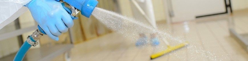 Food-Grade Industrial Degreaser